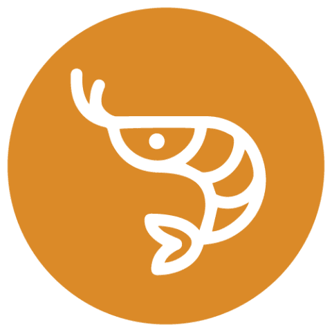 Prawn Market Reports | Exporting Seafood